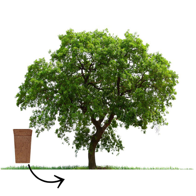 Biodegradable urns for water and ground burial of cremation ashes ...